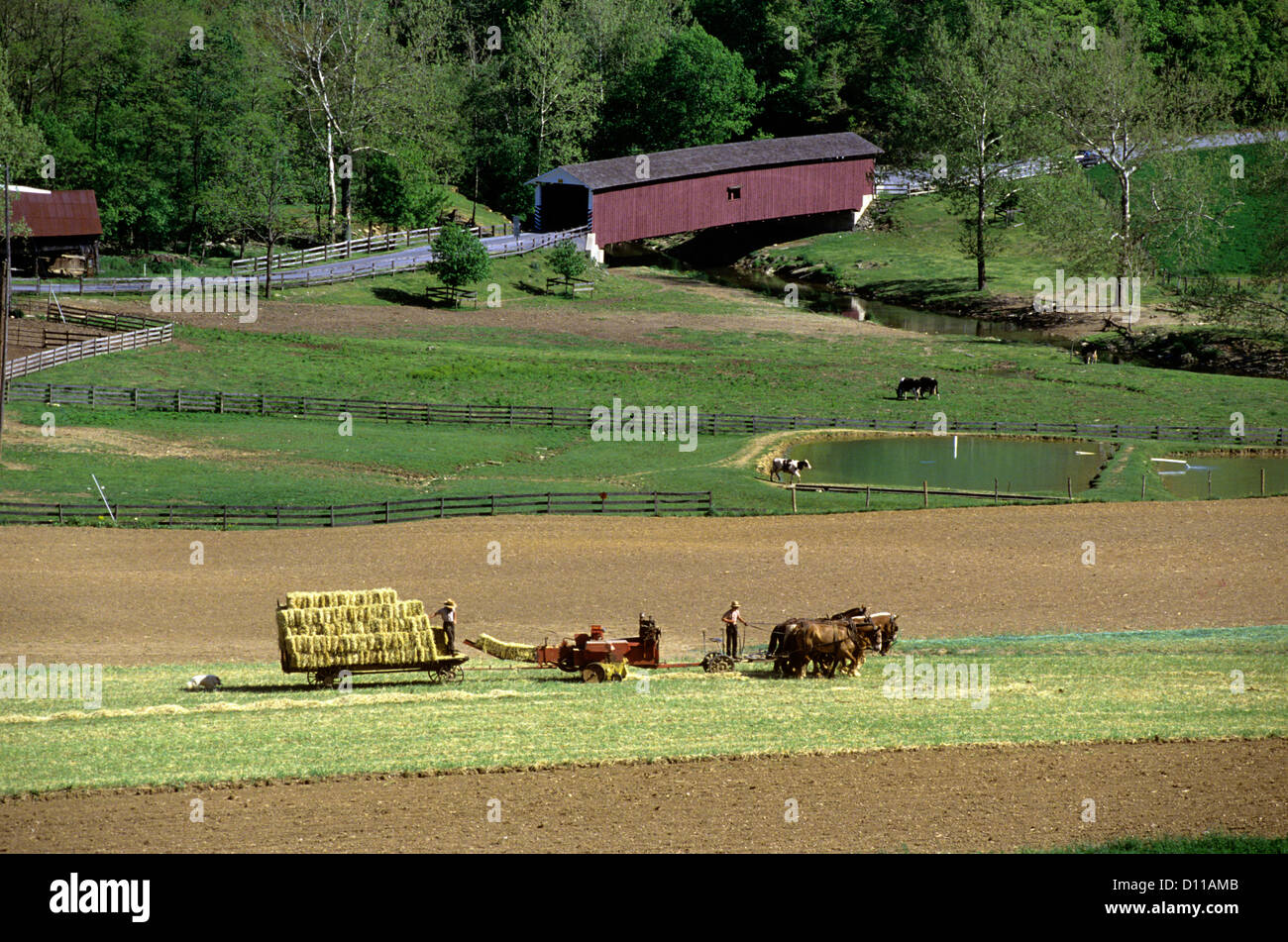 Amish farms in rural pennsylvania hi-res stock photography and images ...