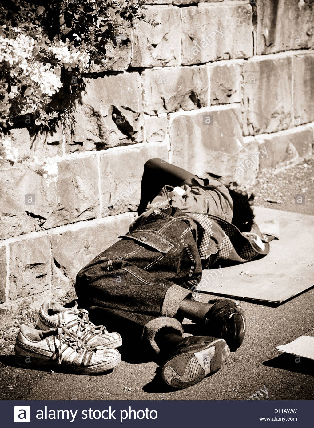 South Africa Beggar Stock Photos & South Africa Beggar Stock Images - Alamy