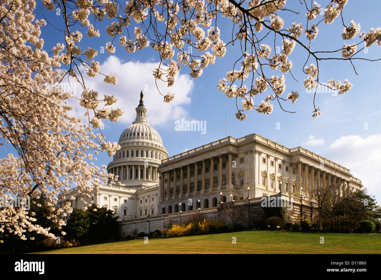 1990s WASHINGTON DC CAPITOL BUILDING SPRING Stock Photo - Alamy
