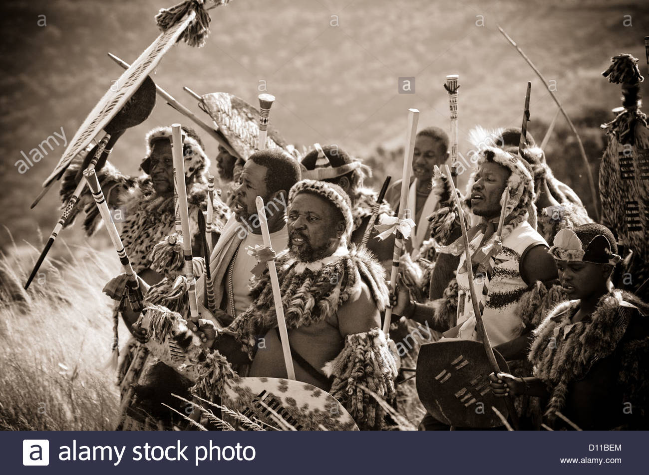 South African Zulus African Zulus Stock Photos & South African Zulus ...