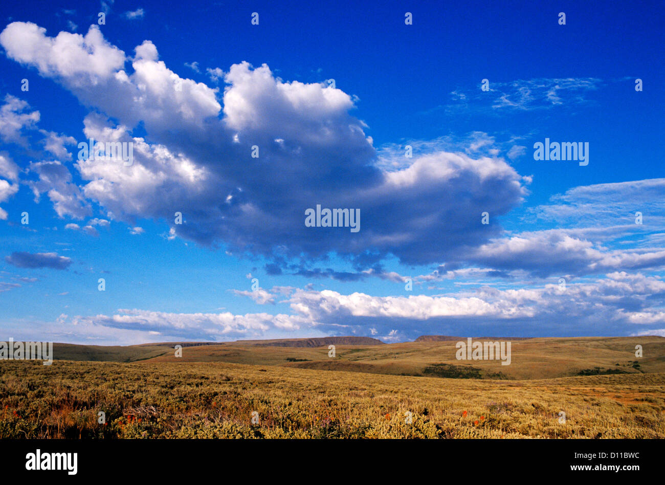 High plains desert hi-res stock photography and images - Alamy
