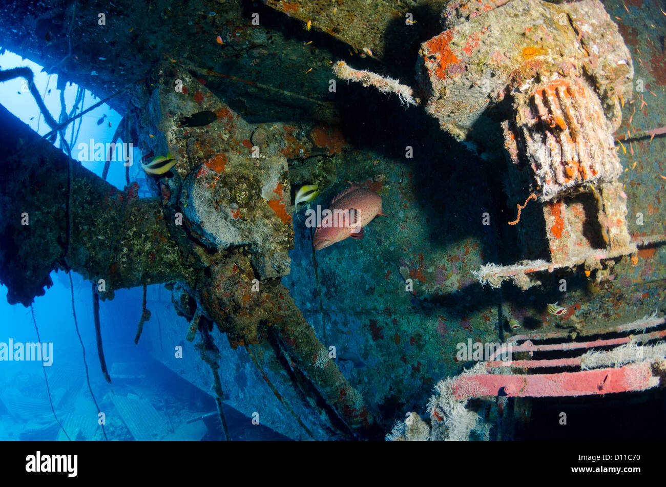 Ship wreck salem express egypt hi-res stock photography and images - Alamy