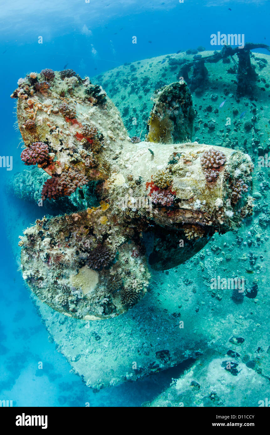 Ship wreck of Salem Express, Safaga, Egypt, Red Sea, Indian Ocean Stock ...