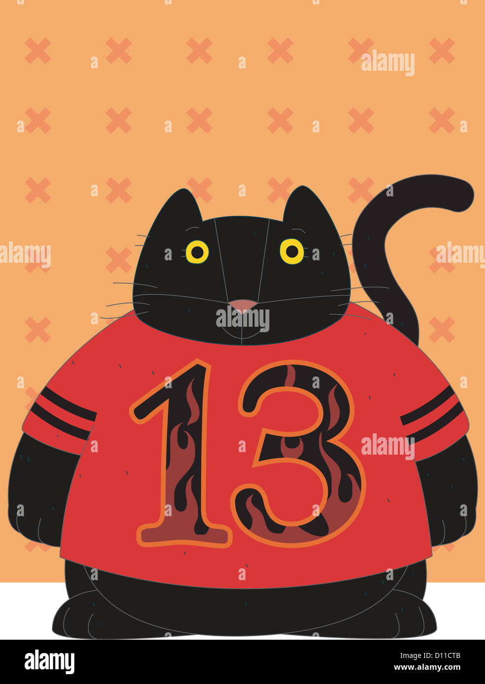 Cat is 13 years old Stock Photo - Alamy