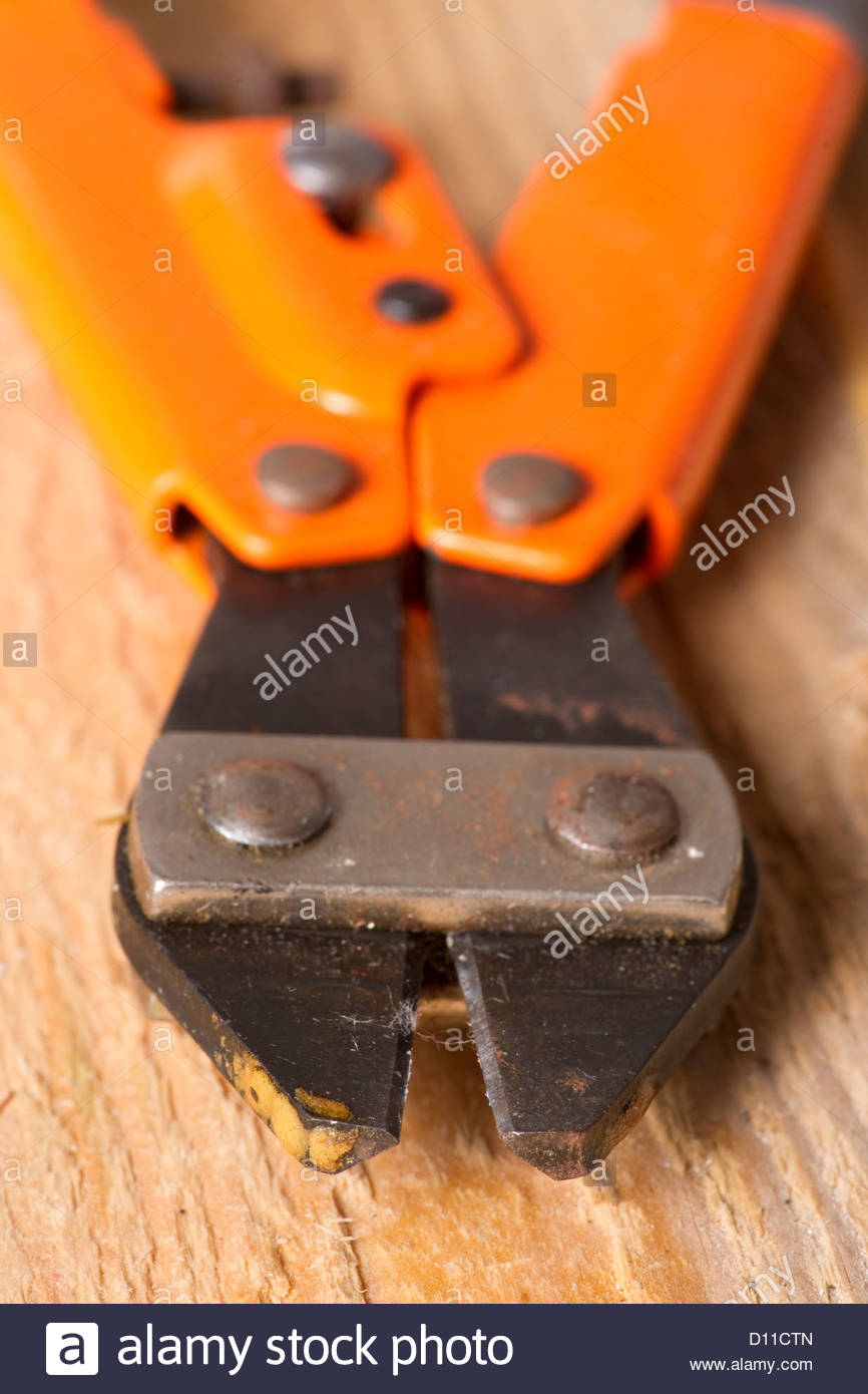Cutting Jaws High Resolution Stock Photography and Images - Alamy