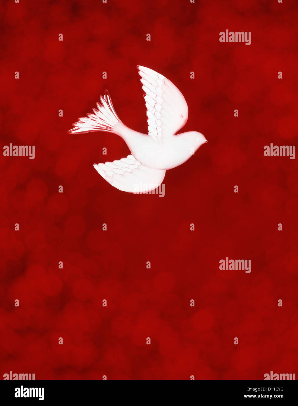 Religious Dove Images