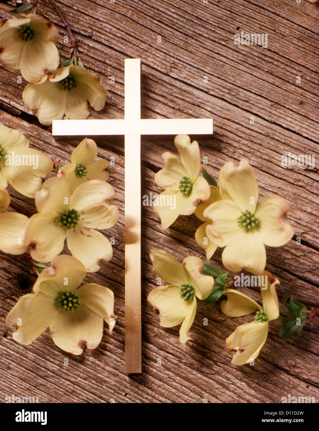 Dogwood table hi-res stock photography and images - Alamy