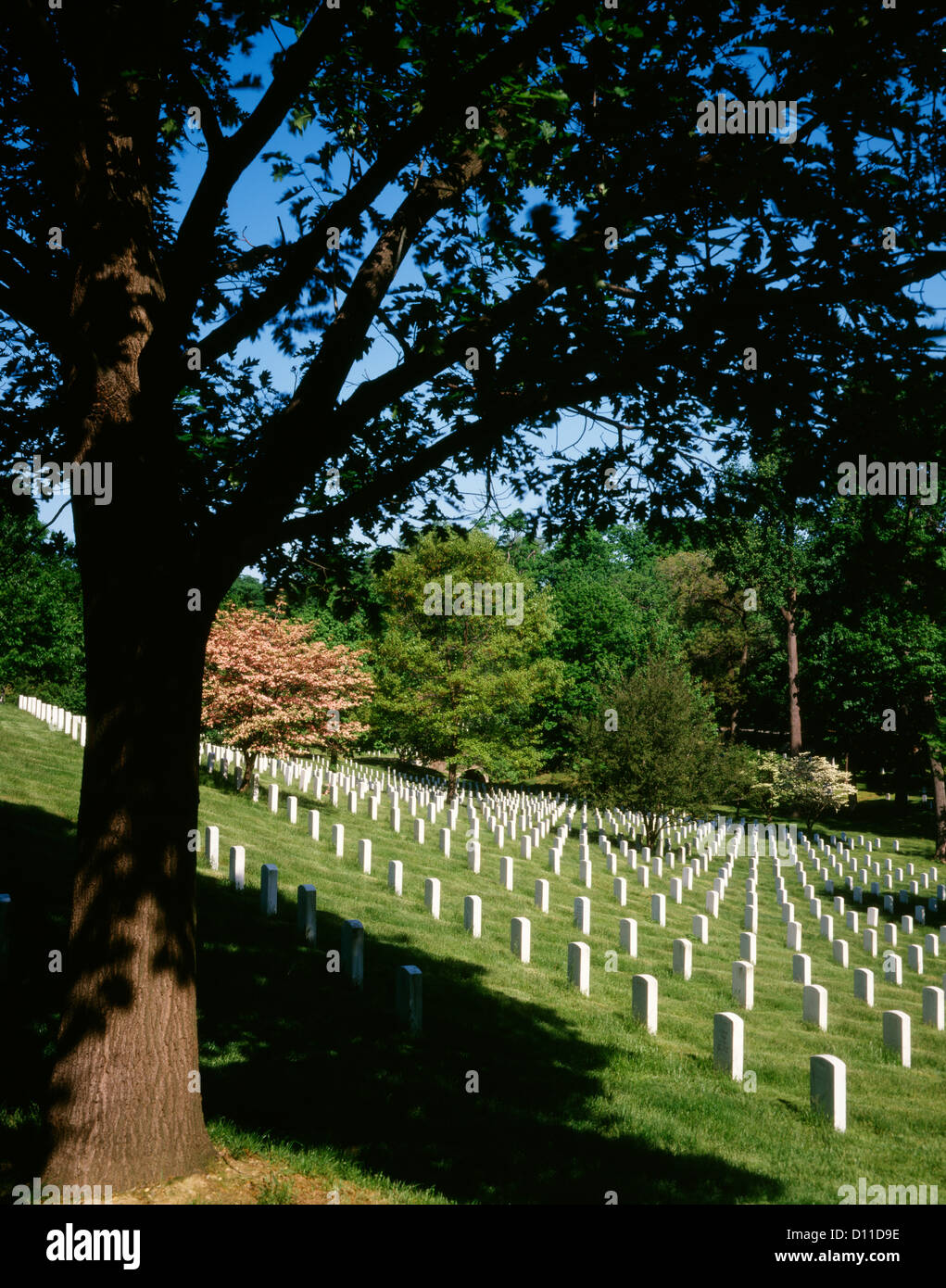 ARLINGTON NATIONAL CEMETERY WASHINGTON DC Stock Photo - Alamy