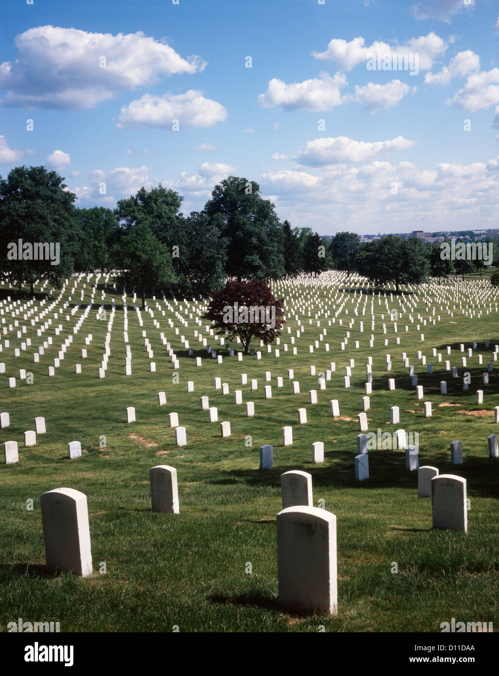 ARLINGTON NATIONAL CEMETERY WASHINGTON DC Stock Photo - Alamy