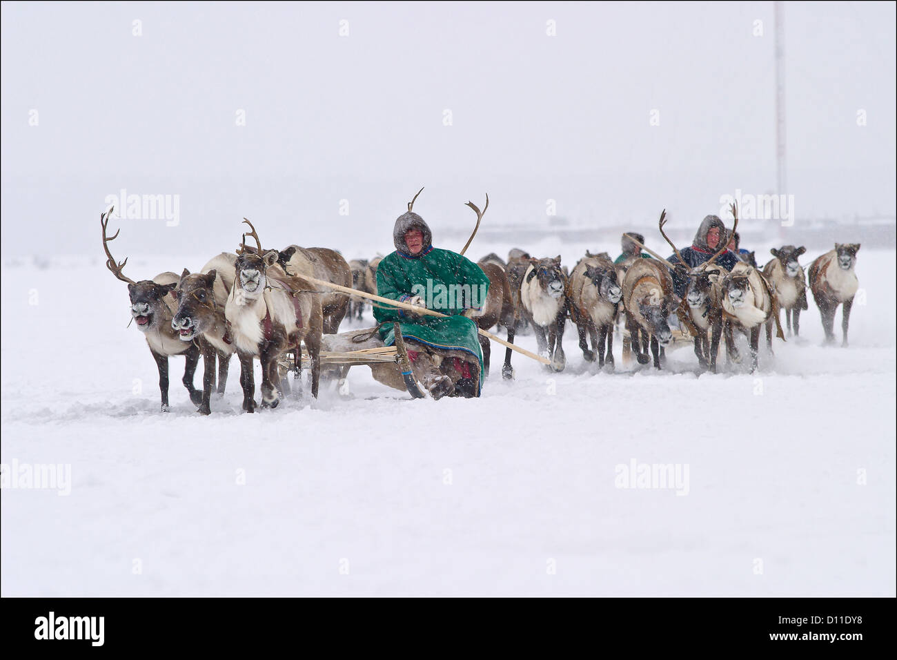 Feb. 29, 2004 - Nadym, Russia - Nadymsky region of Yamalo-Nenets ...