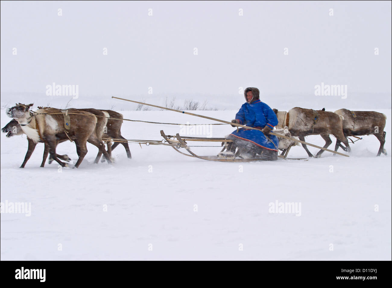 Nentsy hi-res stock photography and images - Alamy