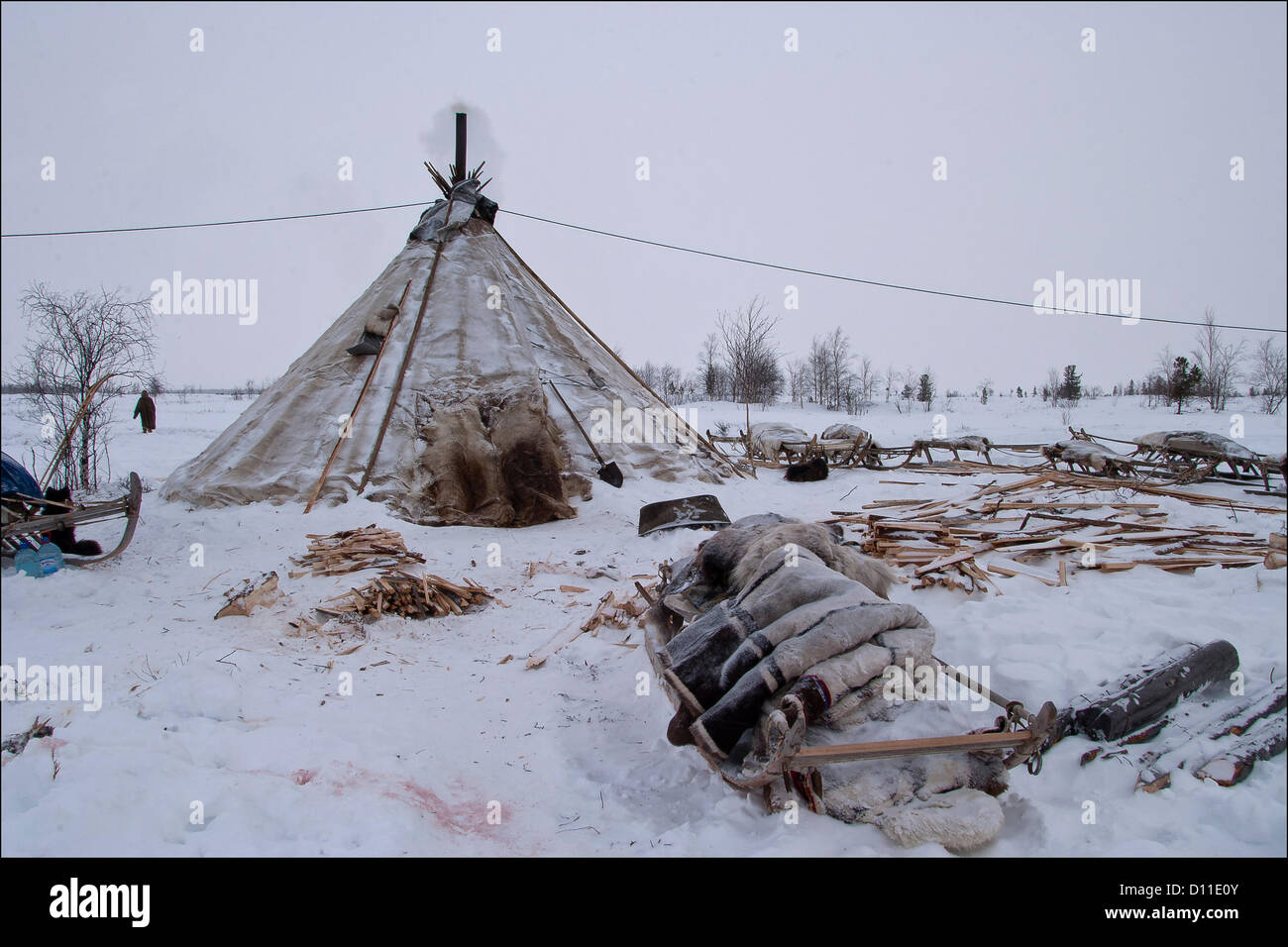 Nentsy hi-res stock photography and images - Alamy