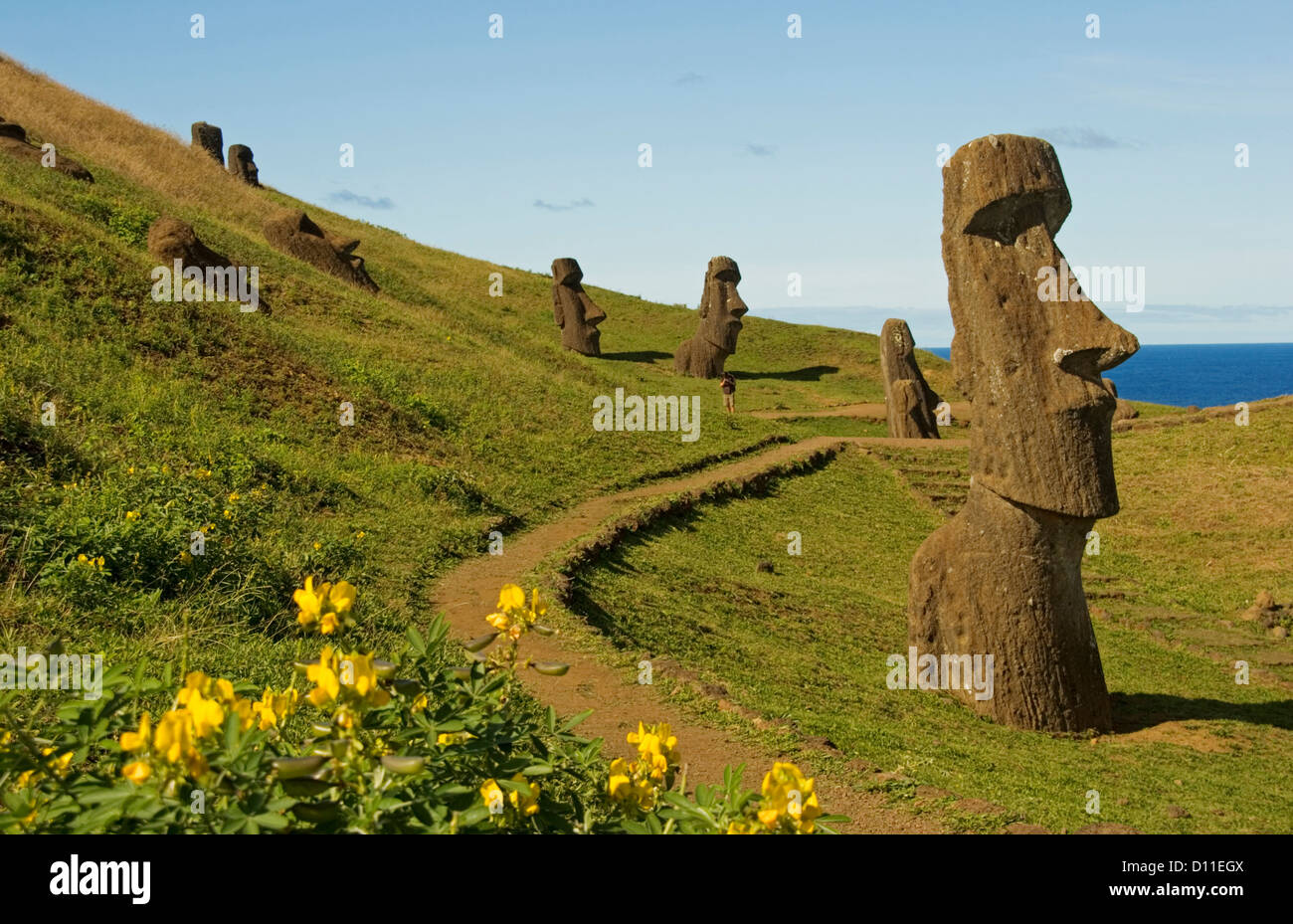 Easter Island stone statues - moai - on grassy hillside at Ranu Raraku ...