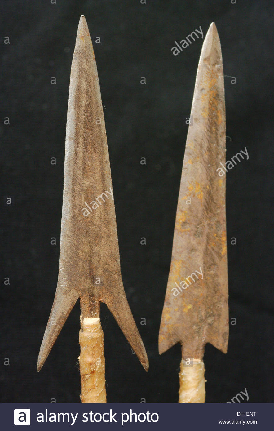 Feathers And Bows High Resolution Stock Photography and Images - Alamy