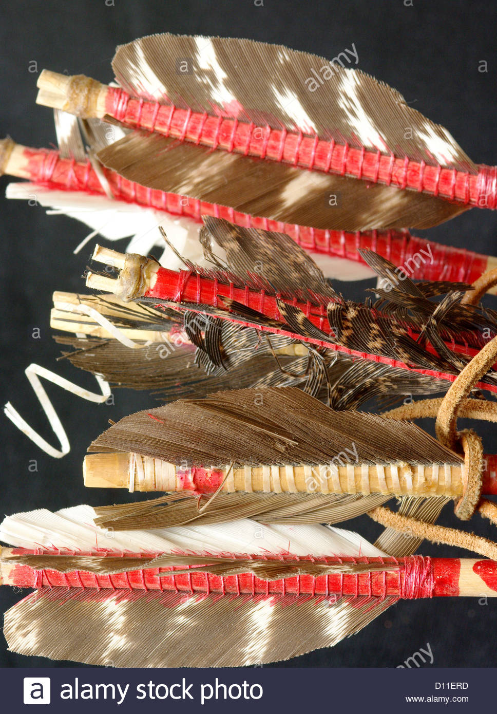 Longbows Stock Photos & Longbows Stock Images - Alamy