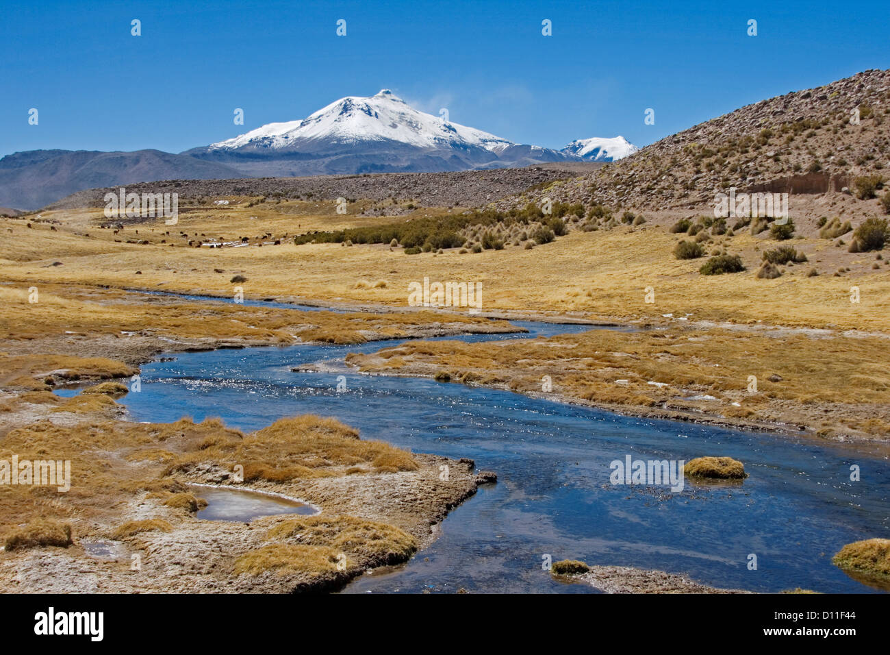 Andes mountains landscape with smoke from snow capped summit of active ...