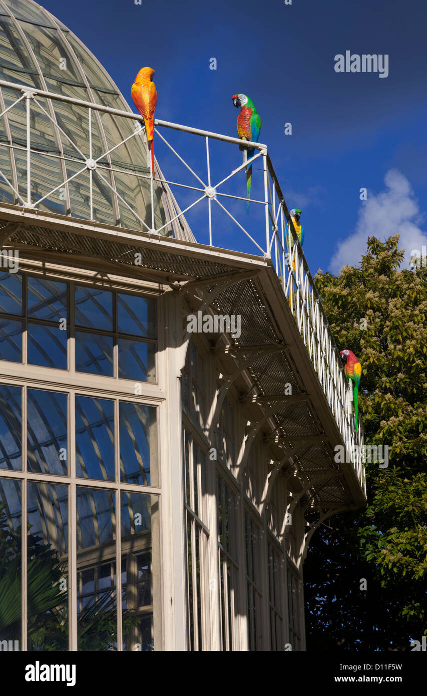 Parakeets exhibition hi-res stock photography and images - Alamy