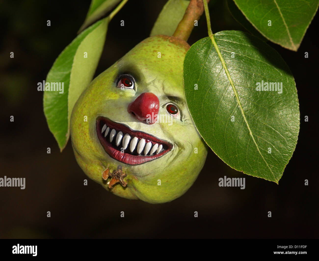 Humorous image of pear with happy, smiling face and bright eyes growing ...