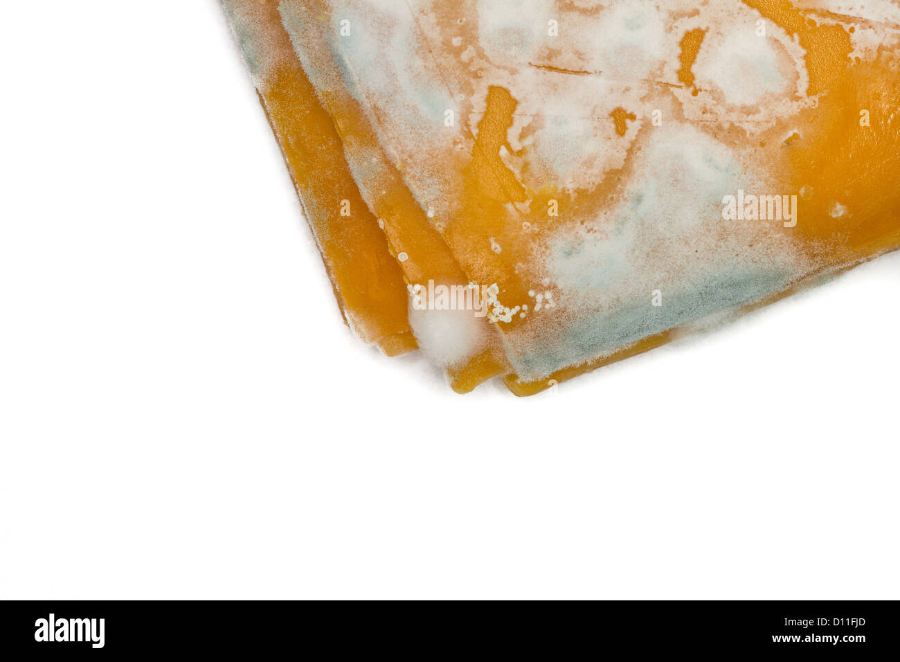 Poisonous cheese hi-res stock photography and images - Alamy