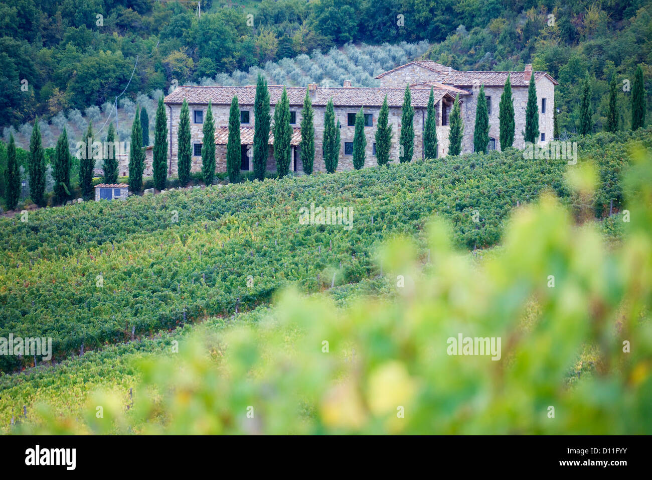 Stone Farmhouse and Vineyard Stock Photo - Alamy