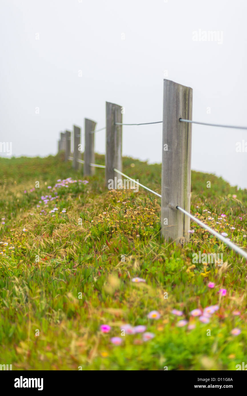 Distant perspective hi-res stock photography and images - Alamy