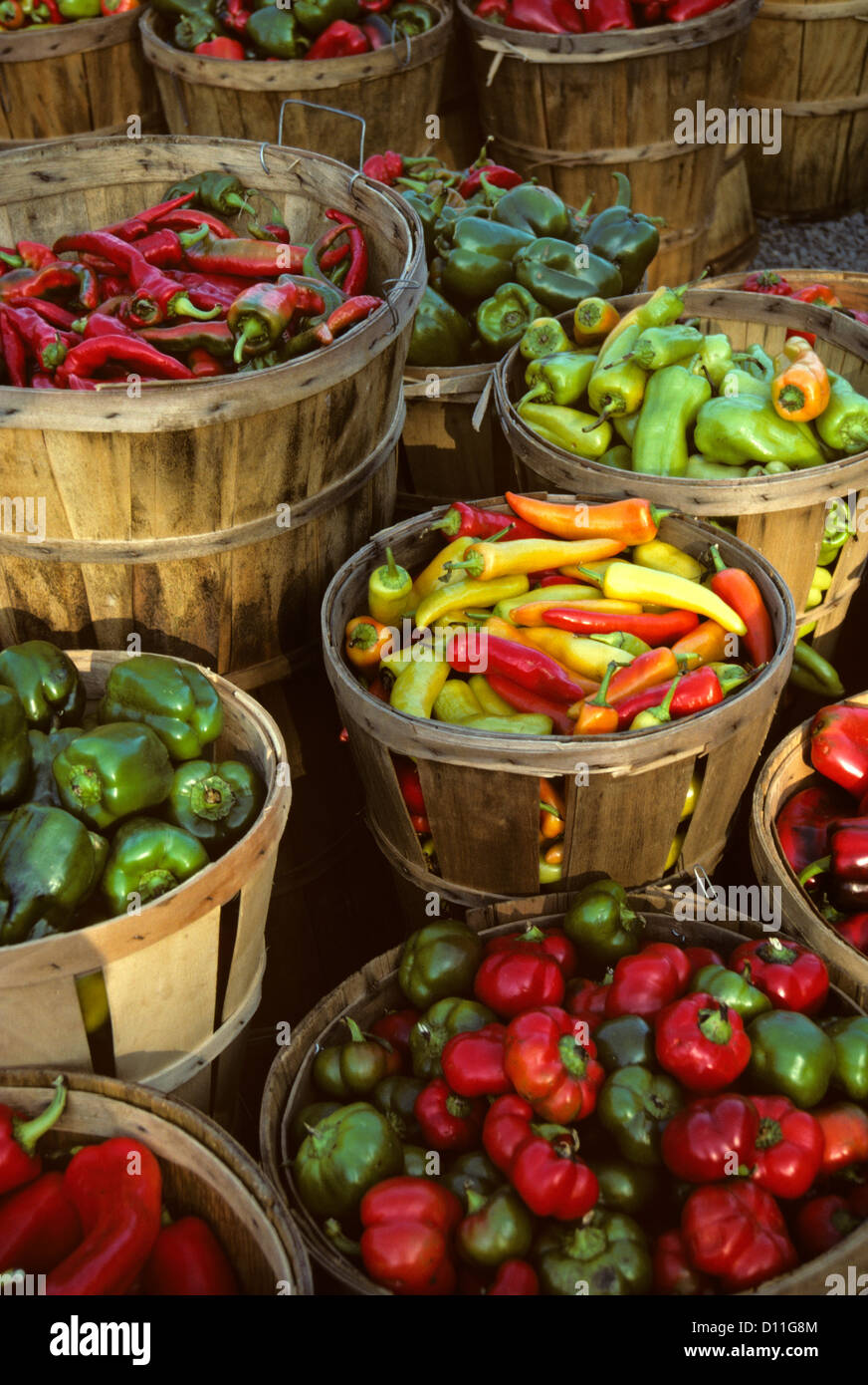 VARIETY OF SWEET AND HOT PEPPERS IN BASKETS Stock Photo - Alamy