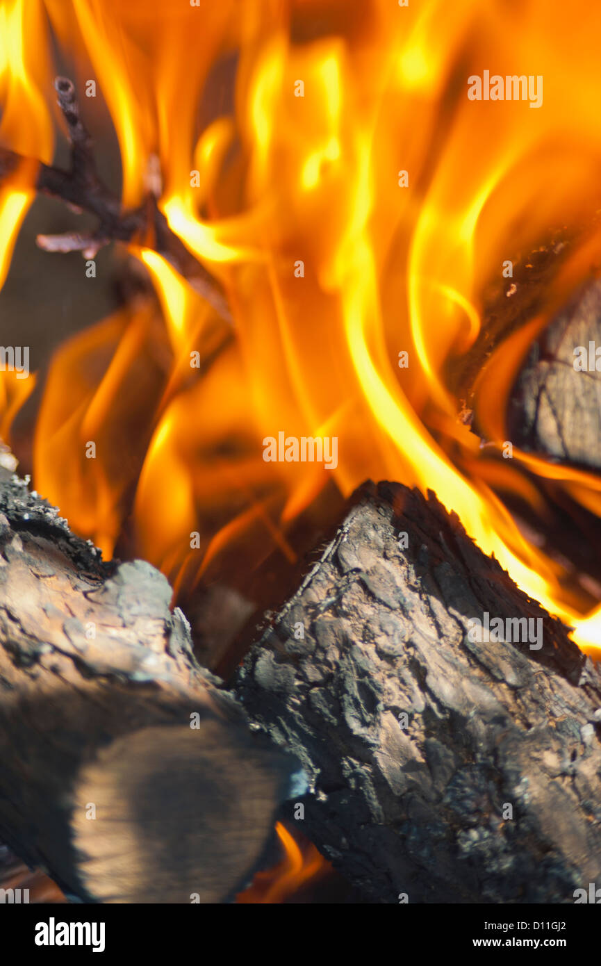 USA, Texas, Oak wood fire Stock Photo - Alamy