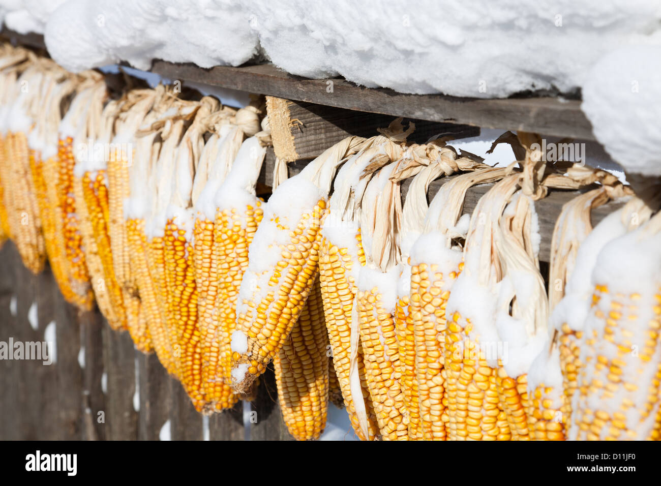 Outside in winter hi-res stock photography and images - Alamy