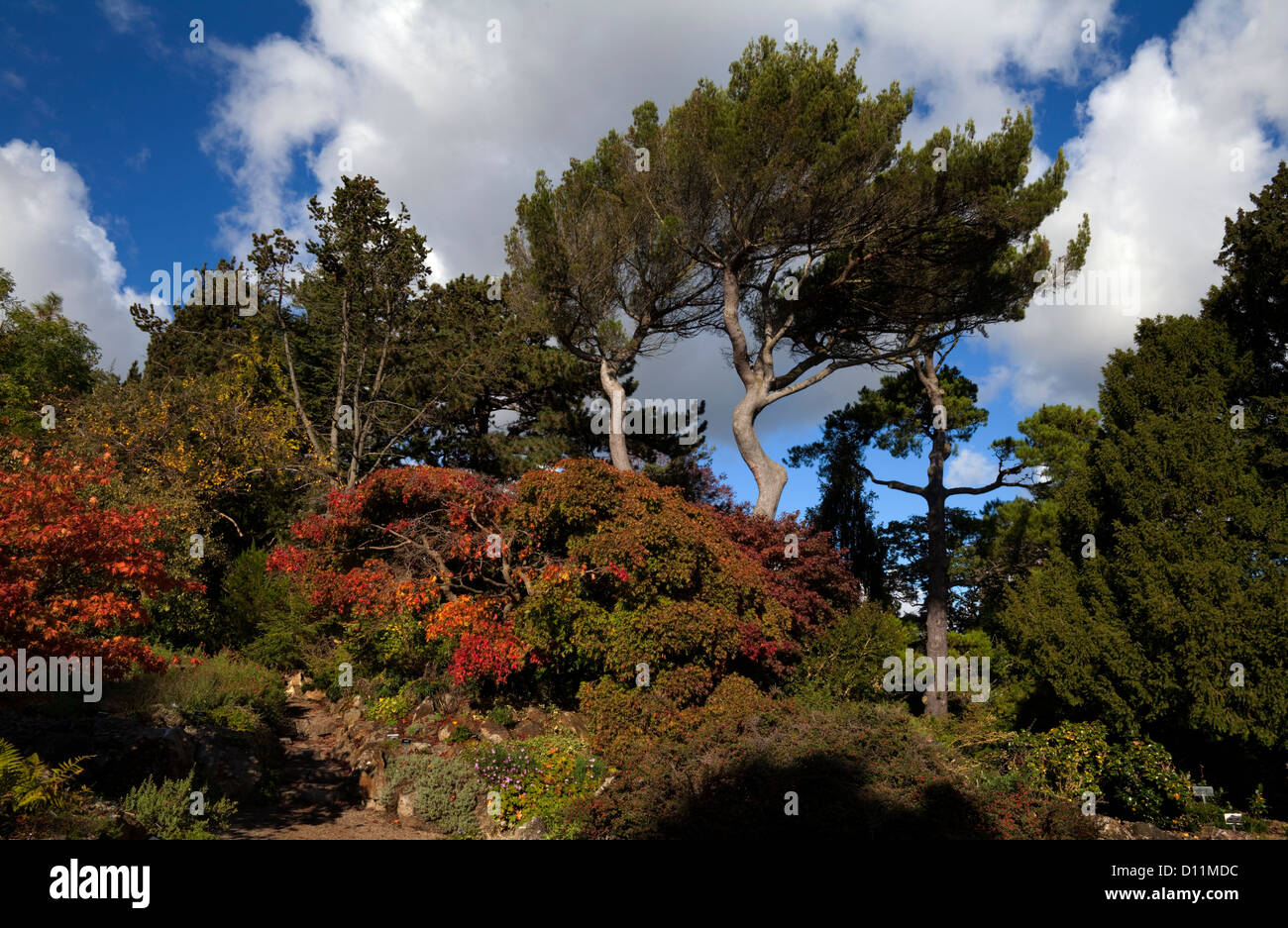 Irish national botanic garden hi-res stock photography and images - Alamy