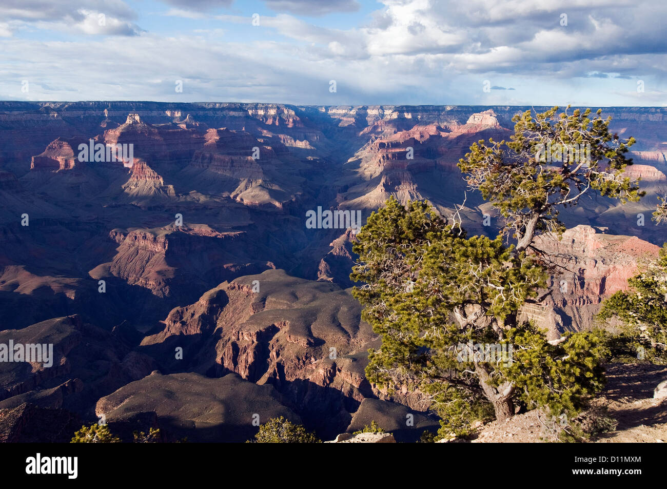 Grand Canyon; Arizona United States Of America Stock Photo - Alamy