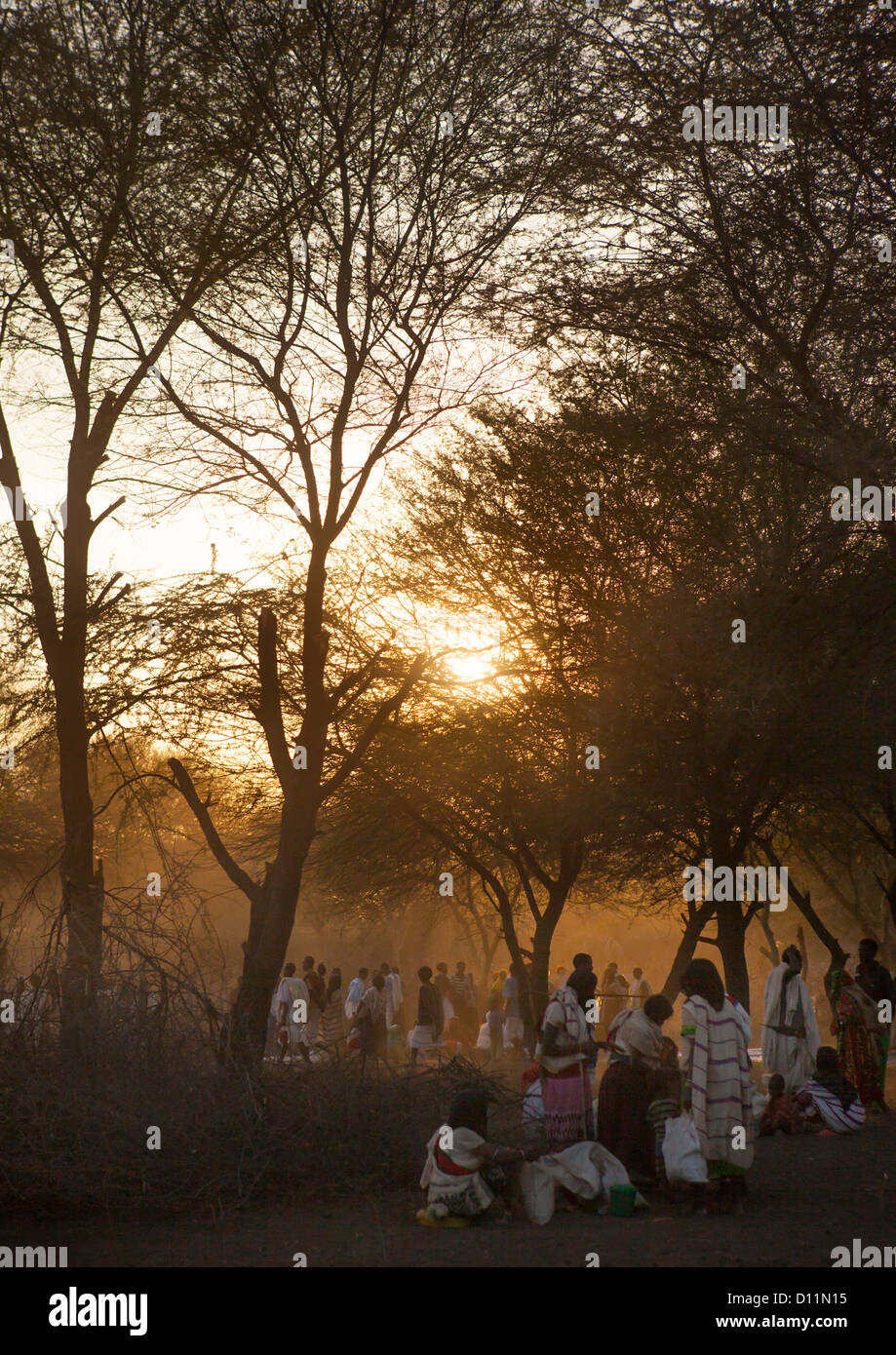 Sunset Under The Trees On The Karrayyu Tribe People At Gadaa Ceremony ...
