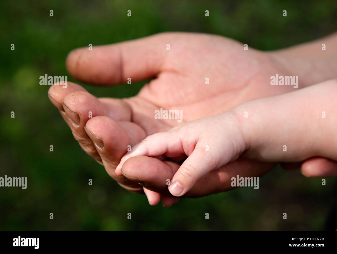 small children hand in hand grandfather Stock Photo - Alamy