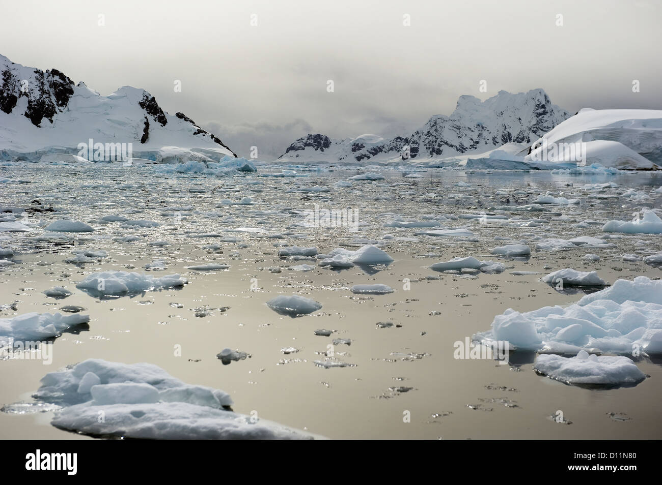 Antarctica floating iceberg in morning hi-res stock photography and ...