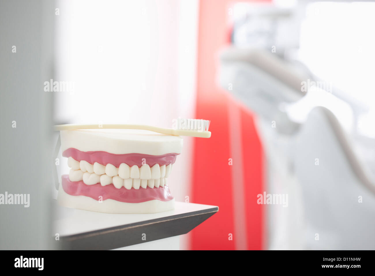 Germany, Exhibition dentures with toothbrush in dental office Stock ...
