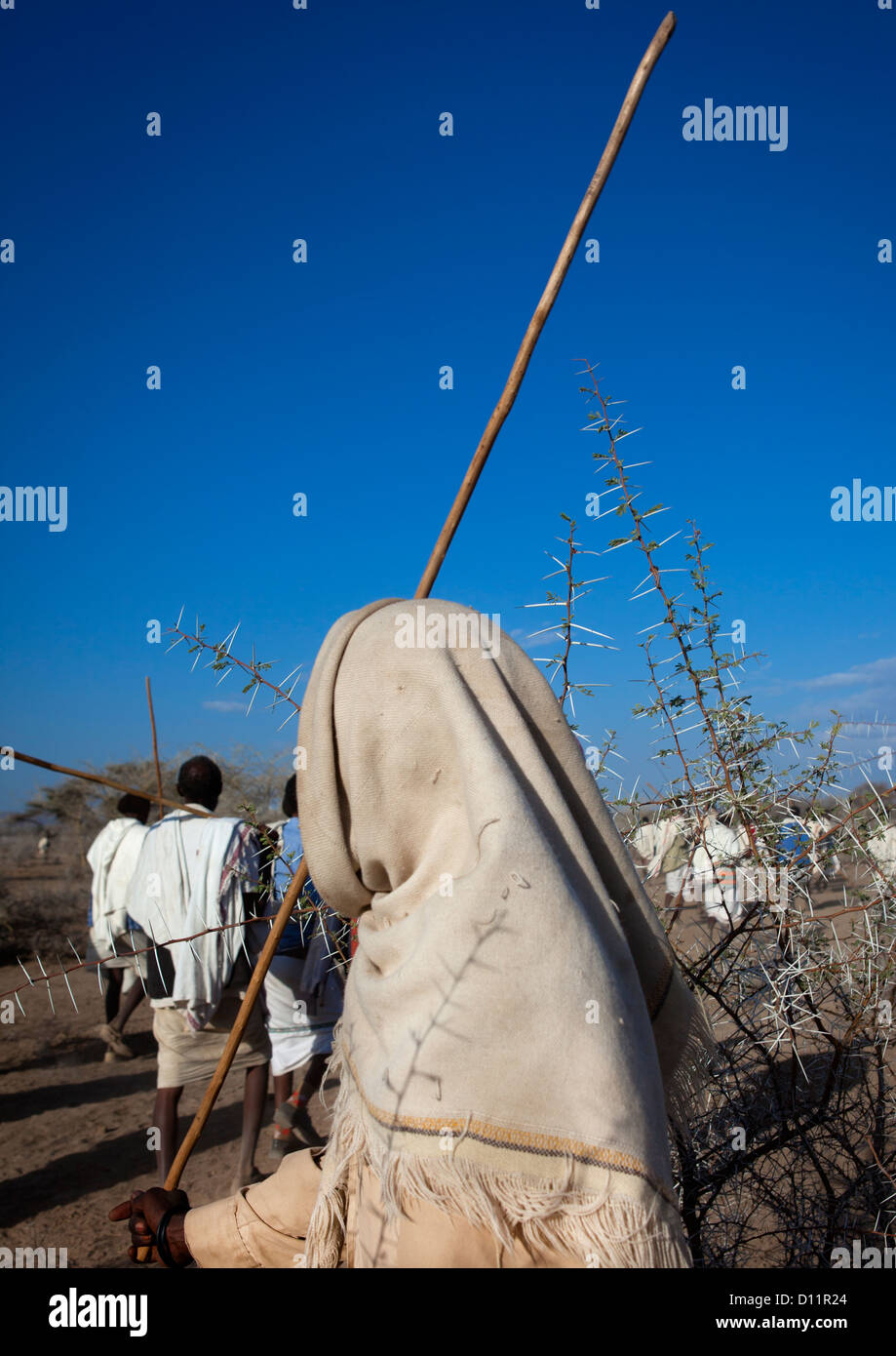 Karrayyu Tribe During Gadaaa Ceremony, Metahara, Ethiopia Stock Photo ...