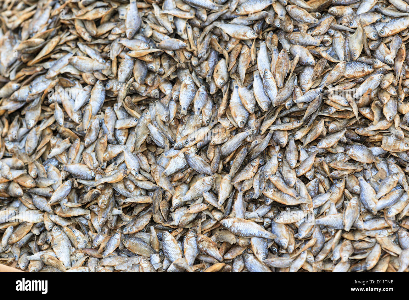 Dry fish hi-res stock photography and images - Alamy