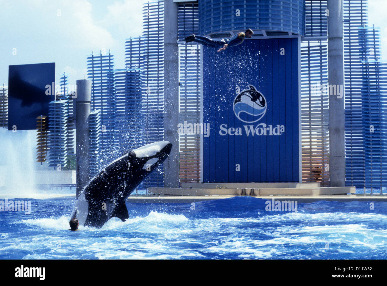 Seaworld Orlando Shamu Stock Photos & Seaworld Orlando Shamu Stock ...