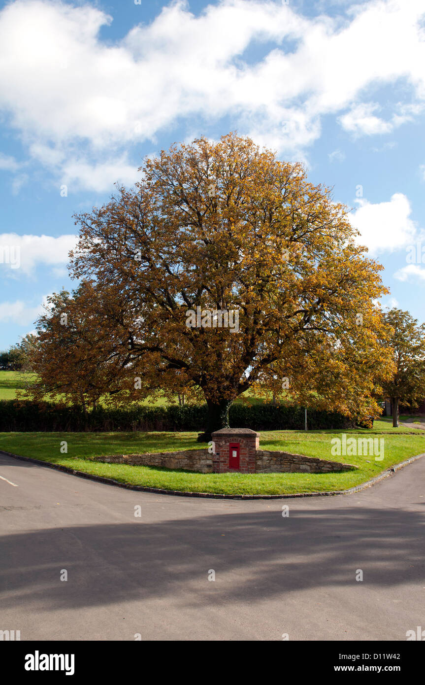 Altered tree hi-res stock photography and images - Alamy