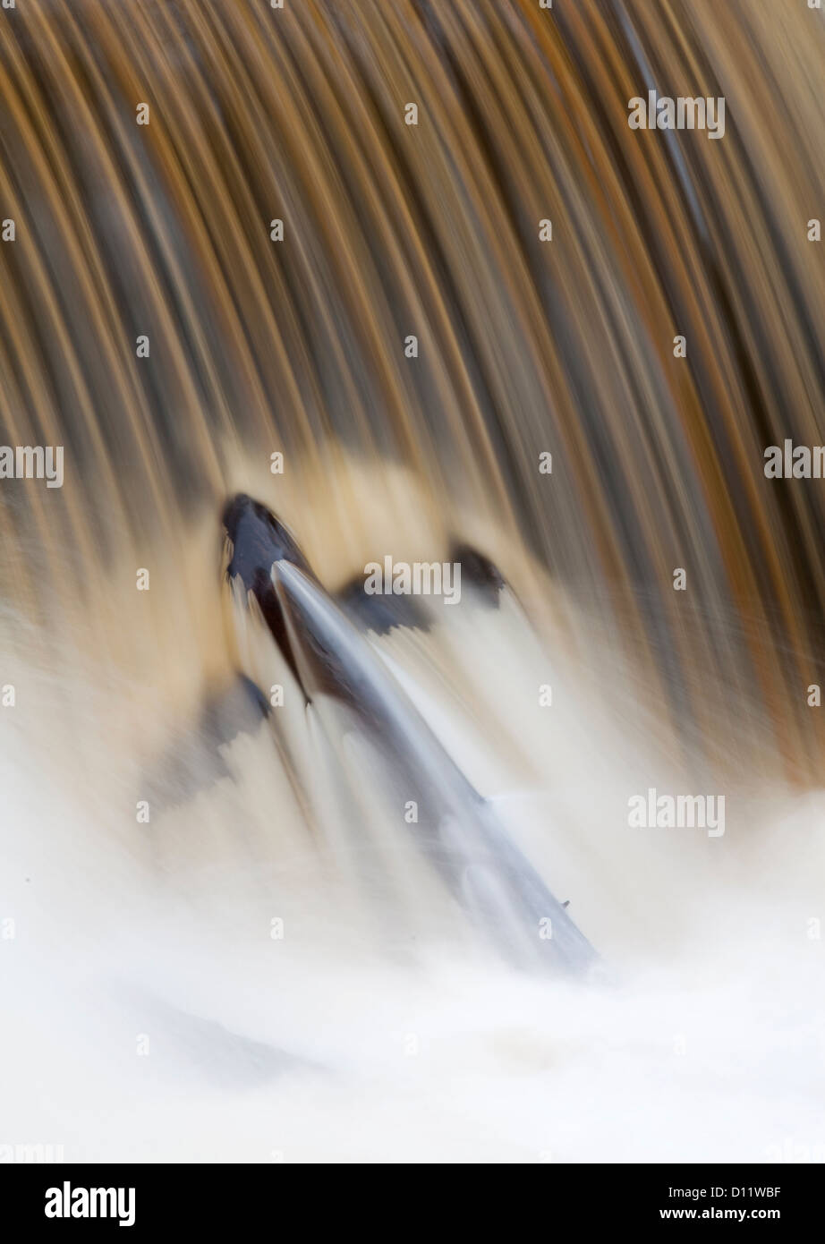 Wooden cross in waterfall Stock Photo - Alamy
