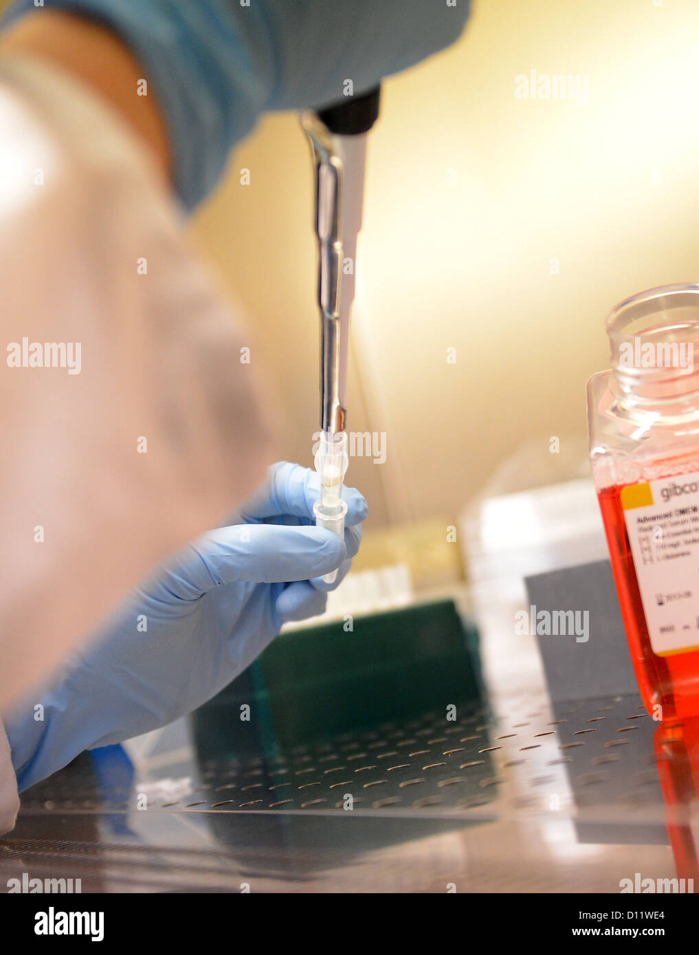 Biologist Christina Paliou pipets cell cultures at a lab of the ...
