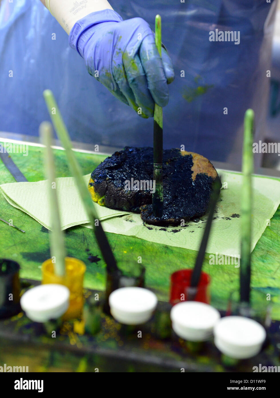 A pathologist colours a body organ at a lab of the Pathology at Charite ...