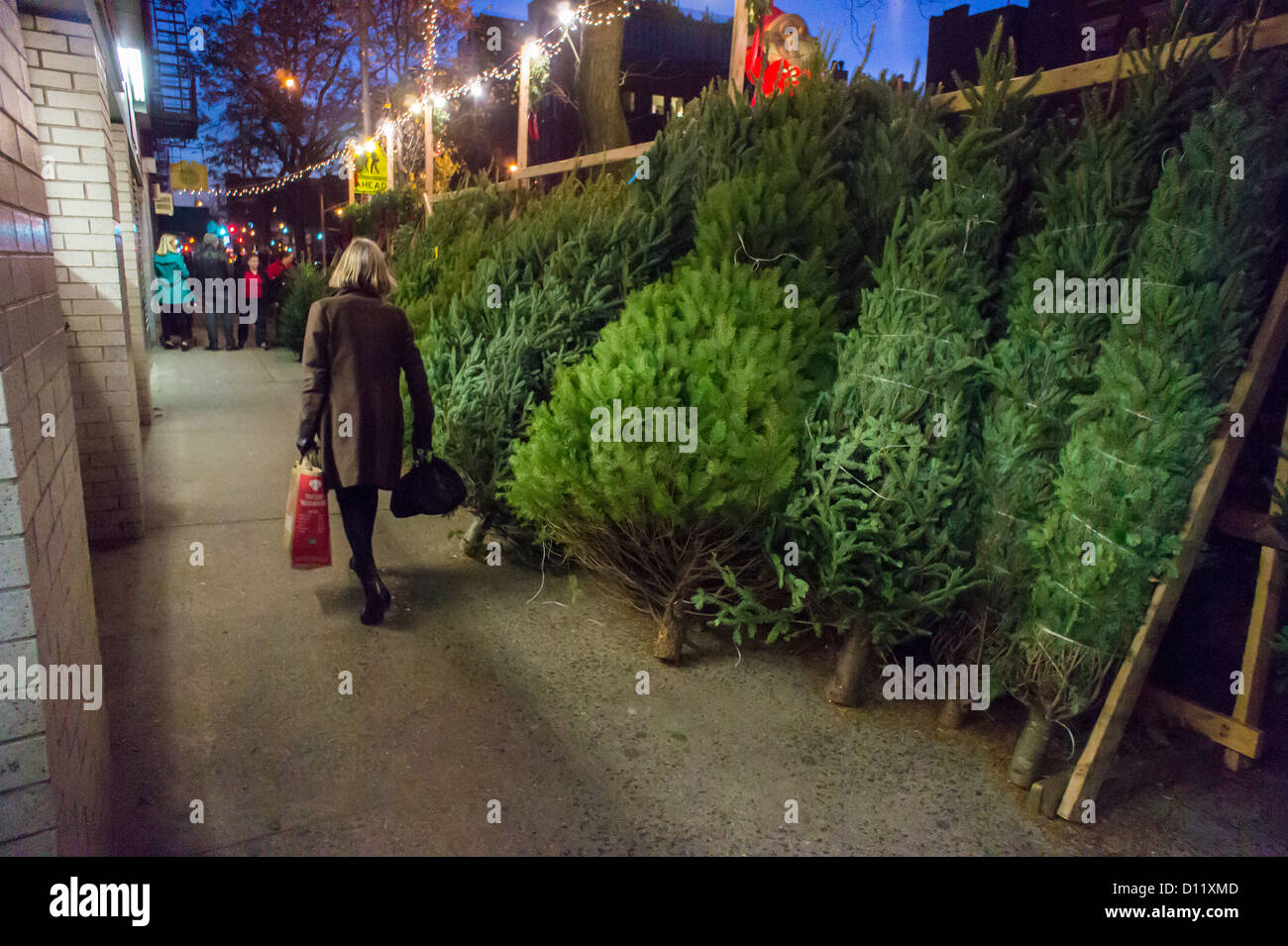 Christmas trees sale america hi-res stock photography and images - Alamy