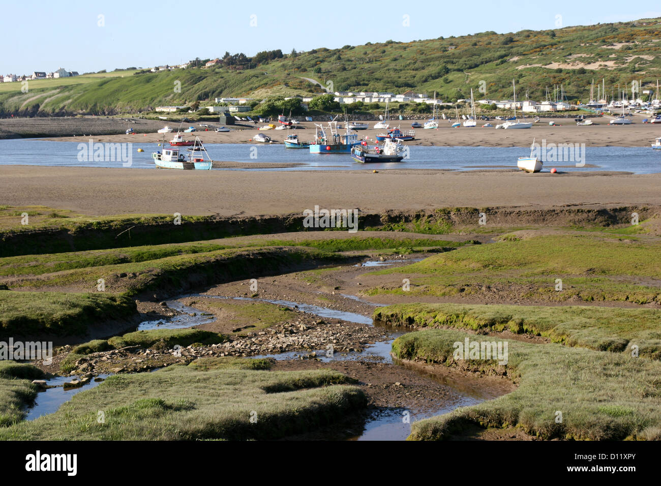 Salt marsh and Teifi estuary Tidal creeks low tide St Dogmaeils ...