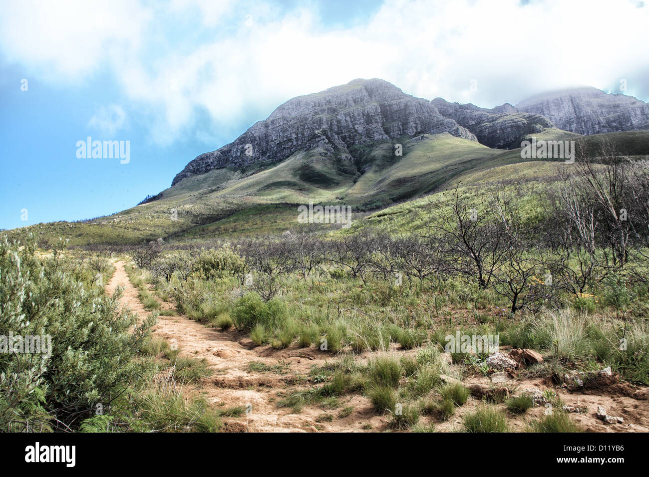 Helderberg Mountain in South Africa Stock Photo - Alamy