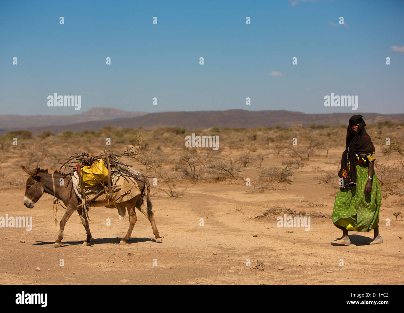 Karrayyu Tribe Woman Walking Behina A Donkey Loaded With Wood On The ...