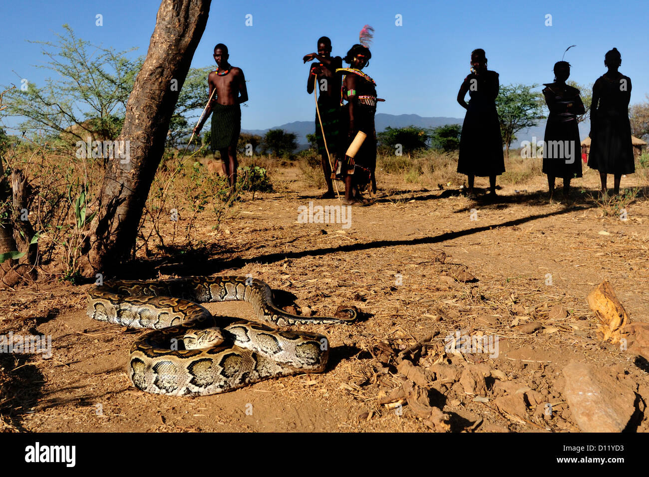 African Rock Python Kenya High Resolution Stock Photography and Images ...