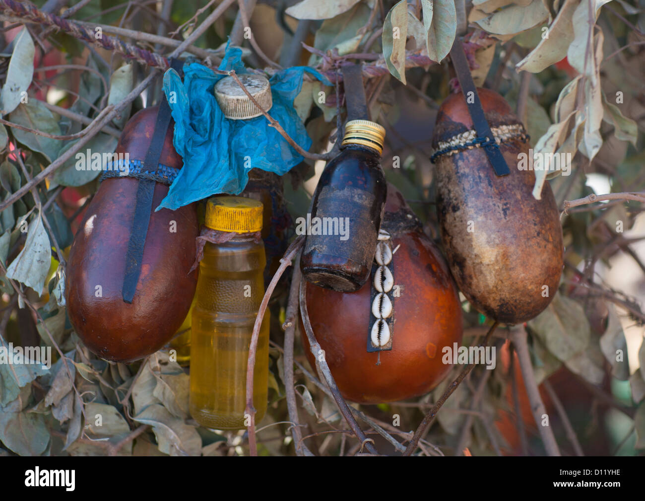 Karrayyu Tribe Woman With Stranded Hair At Gadaaa Ceremony, Metehara ...