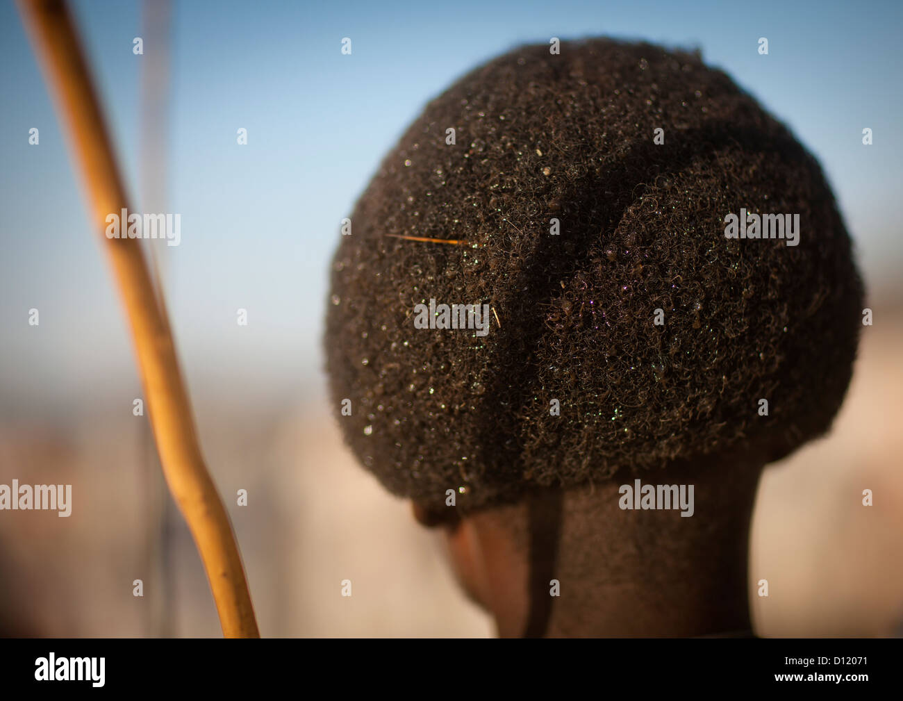 Rear View Of The Gunfura Haircut Of A Karrayyu Tribe Man In Gadaaa ...