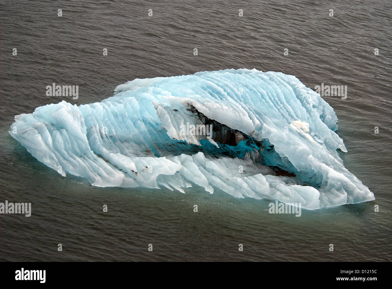 Growler hi-res stock photography and images - Alamy
