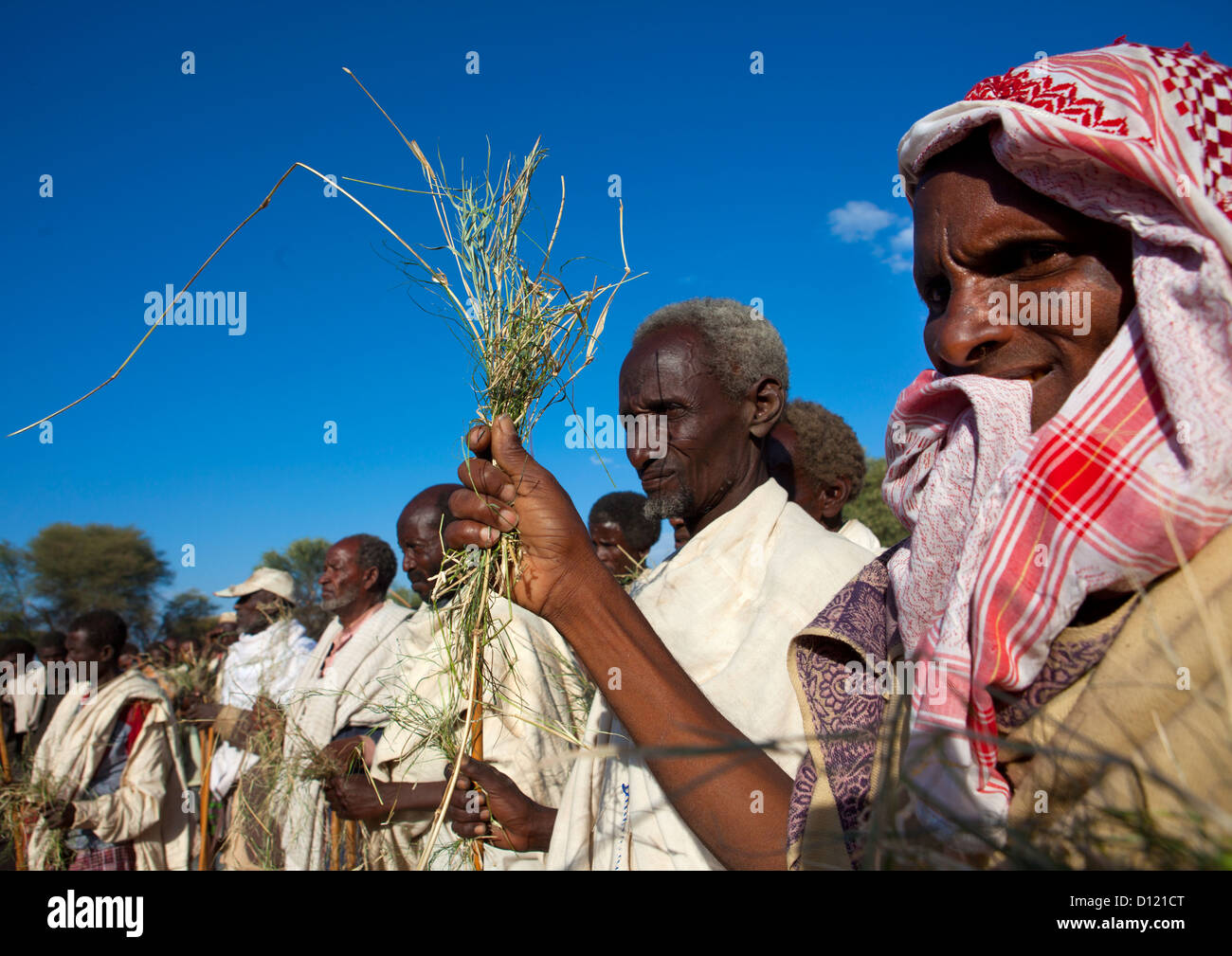 Gada in Karrayyu , Ethiopia Stock Photo - Alamy